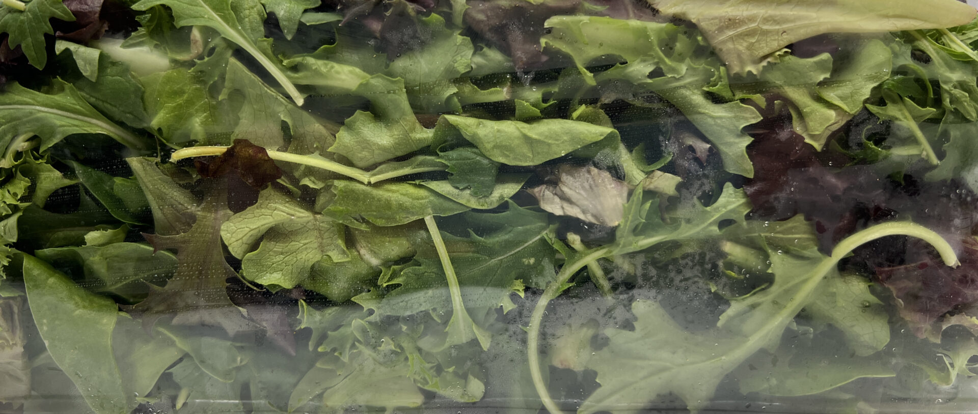 Earthbound Farm Organic Spring Mix - Packaged Food Reviews