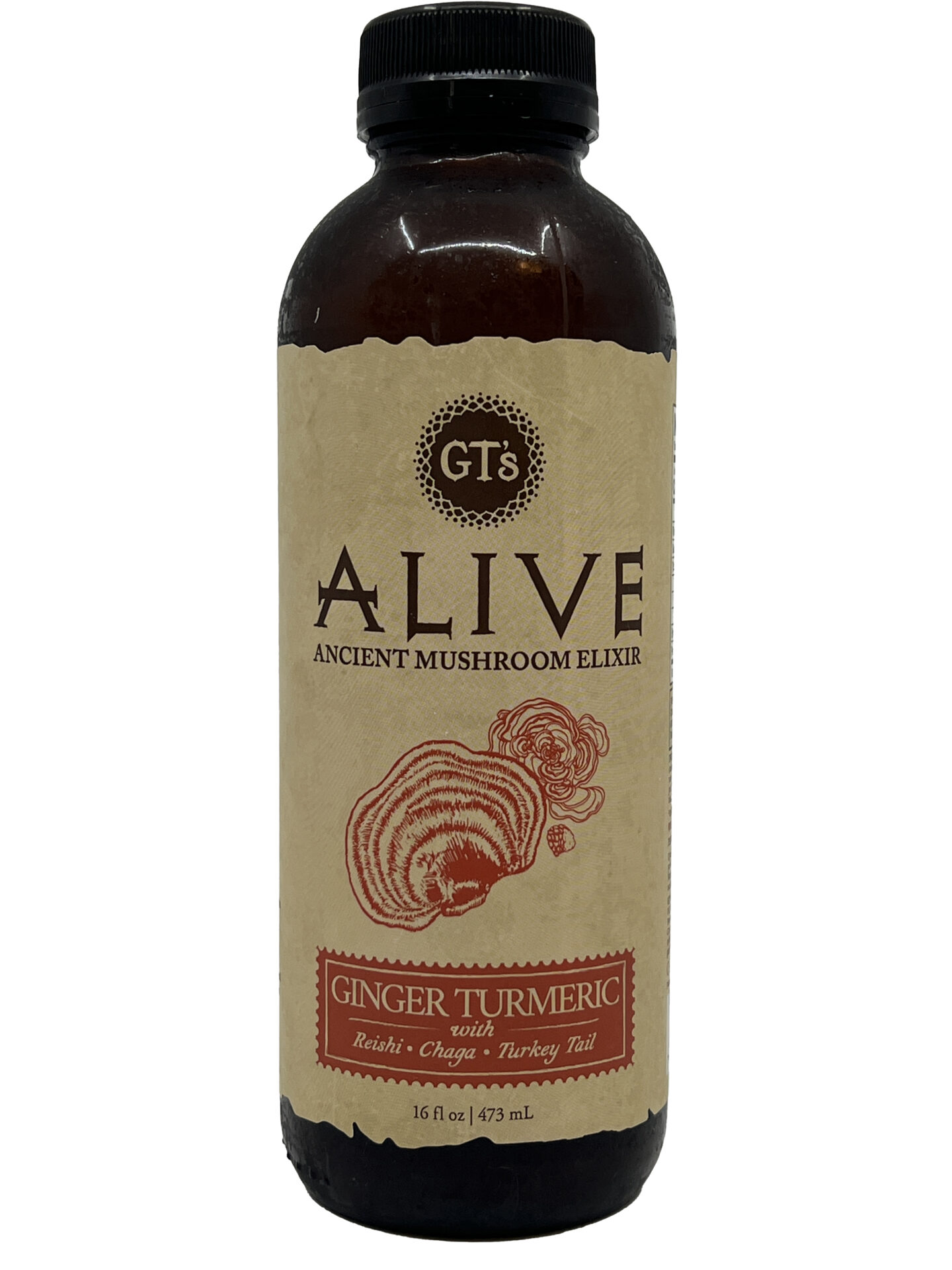 Alive Ginger Turmeric - Packaged Food Reviews
